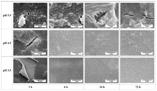 Effect of the Peptization Process and Thermal Treatment on the Sol-Gel ...