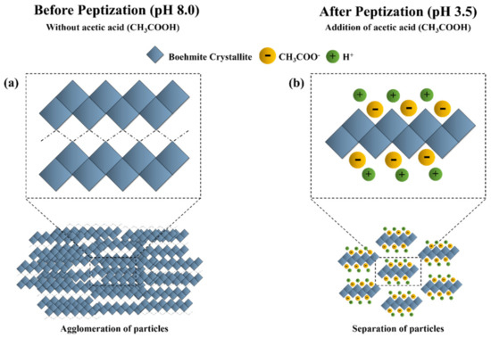 Effect of the Peptization Process and Thermal Treatment on the Sol-Gel ...