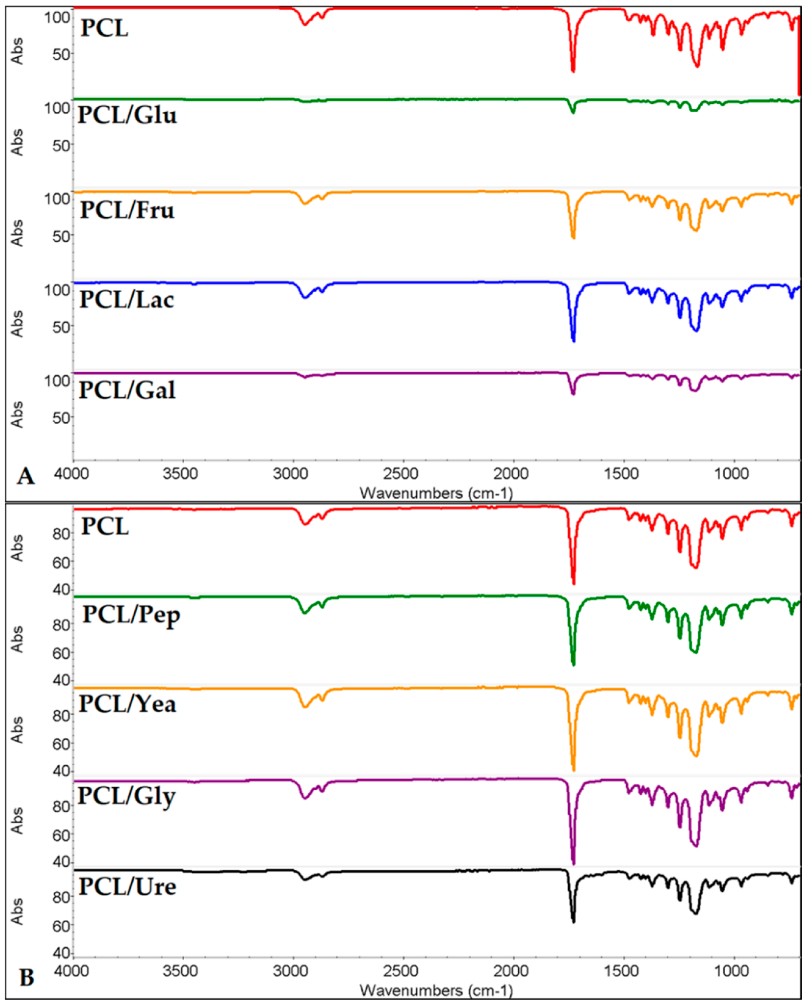 Comparative Study of Polycaprolactone Electrospun Fibers and Casting ...