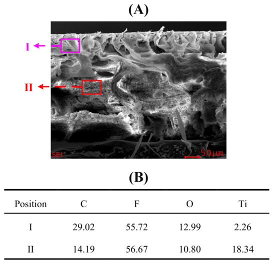 Membranes | Free Full-Text | Preparation of Nano-TiO2-Modified PVDF Membranes with Enhanced ...