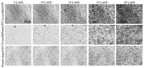 Membranes | An Open Access Journal from MDPI