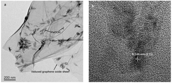 Construct α-FeOOH-Reduced Graphene Oxide Aerogel as a Carrier for ...