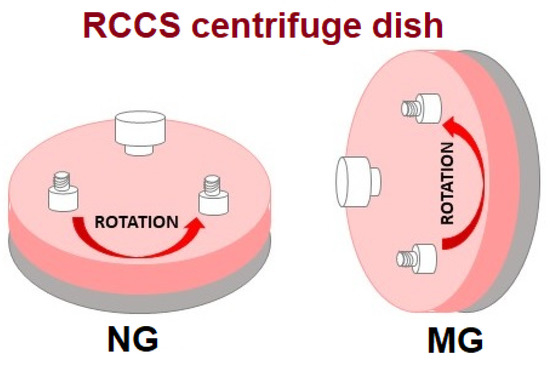 RCCS Bioreactor-Based Modeled Microgravity Affects Gastric Cancer Cells ...