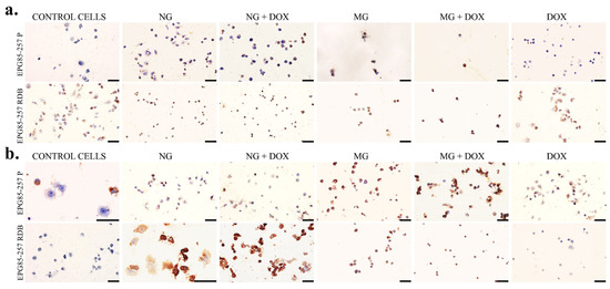 RCCS Bioreactor-Based Modeled Microgravity Affects Gastric Cancer Cells ...