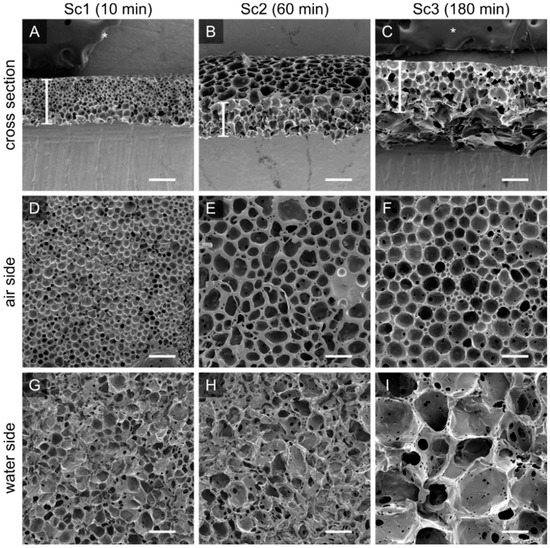One-Step Fabrication of Porous Membrane-Based Scaffolds by Air-Water ...