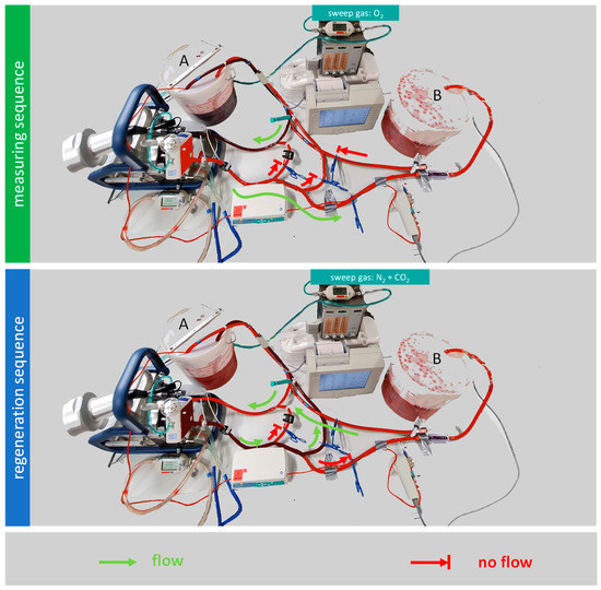 A Novel Mock Circuit to Test Full-Flow Extracorporeal Membrane Oxygenation