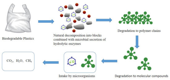 Progress in the Degradability of Biodegradable Film Materials for Packaging