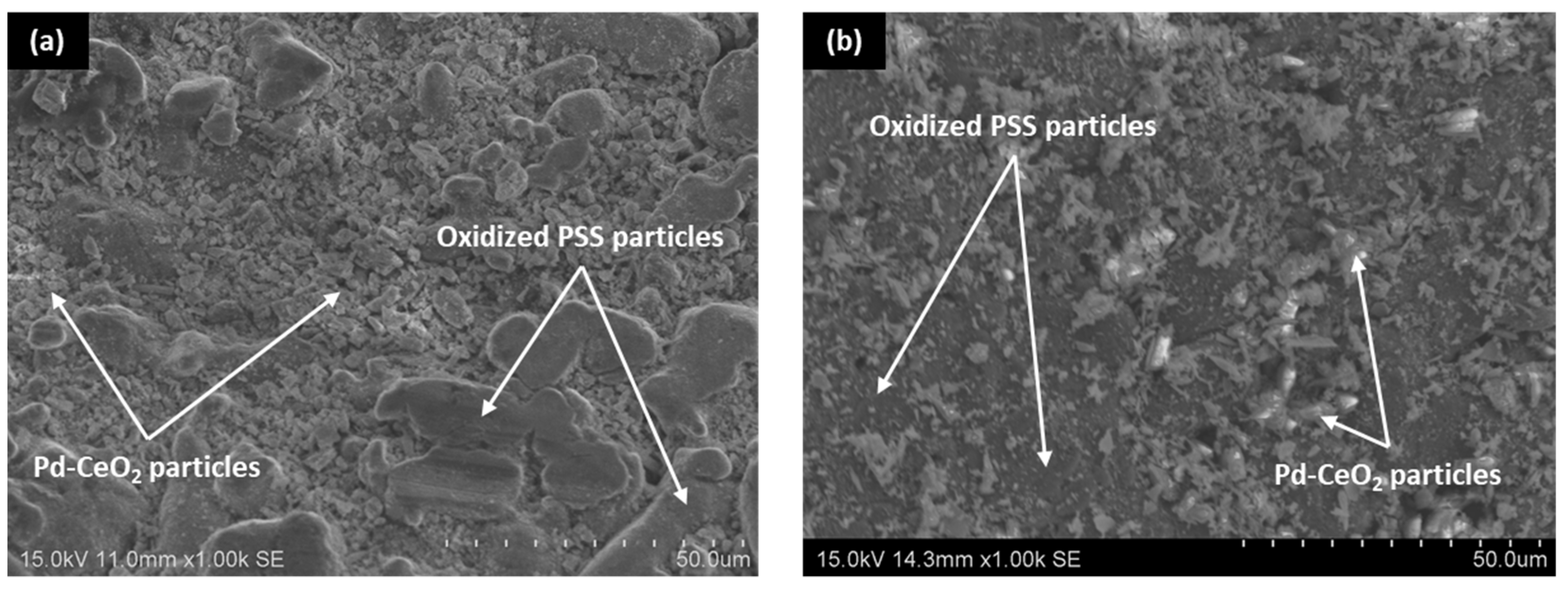 Membranes | Free Full-Text | Versatile and Resistant Electroless Pore ...