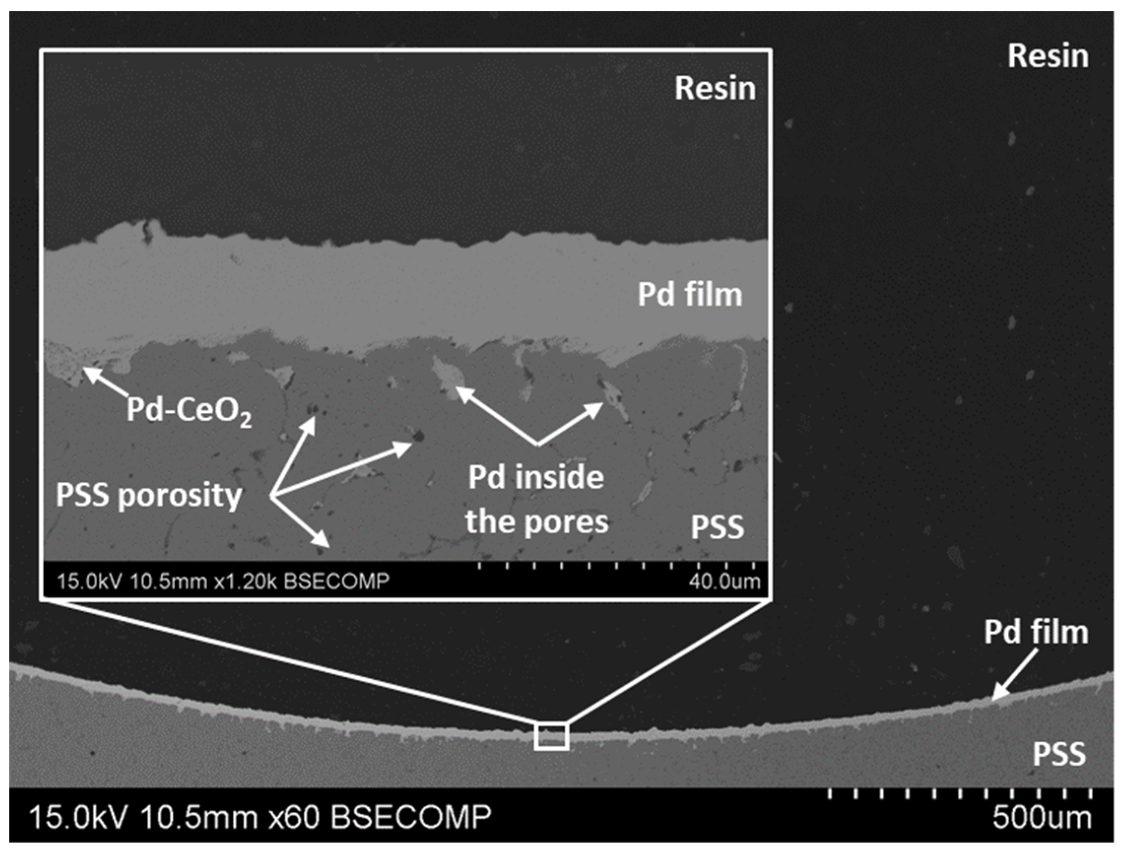 Membranes | Free Full-Text | Versatile and Resistant Electroless Pore ...