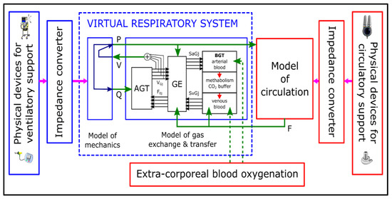 Virtual and Artificial Cardiorespiratory Patients in Medicine and ...