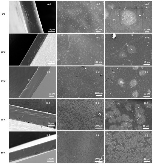 The Effect of Solution Casting Temperature and Ultrasound Treatment on PEBAX MH-1657/ZIF-8 Mixed ...