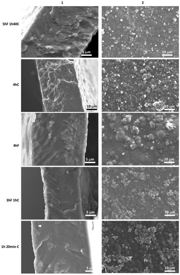 The Effect of Solution Casting Temperature and Ultrasound Treatment on PEBAX MH-1657/ZIF-8 Mixed ...