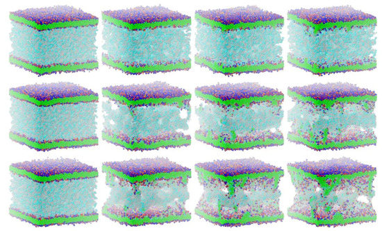 Notes on the Treatment of Charged Particles for Studying Cyclotide ...