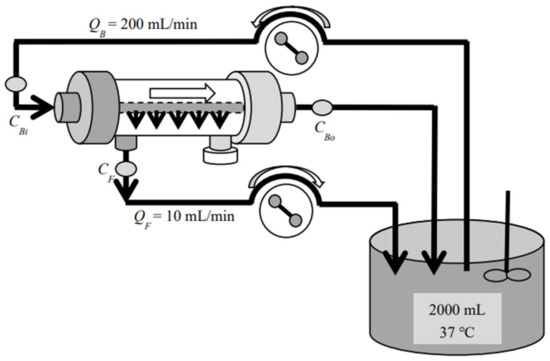 Semi-Quantitative Evaluation of Asymmetricity of Dialysis Membrane ...