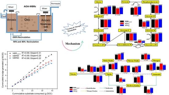 Membranes | Free Full-Text | In-Situ Sludge Reduction in Membrane ...