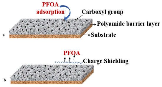 Membranes | Free Full-Text | A Review on Removal and Destruction of Per- and Polyfluoroalkyl ...