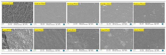 A Review on Removal and Destruction of Per- and Polyfluoroalkyl ...