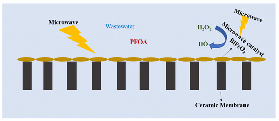 A Review on Removal and Destruction of Per- and Polyfluoroalkyl ...