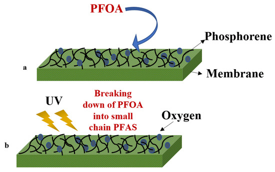 A Review on Removal and Destruction of Per- and Polyfluoroalkyl ...