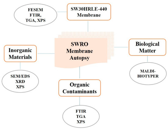 Autopsy of Used Reverse Osmosis Membranes from the Largest Seawater ...