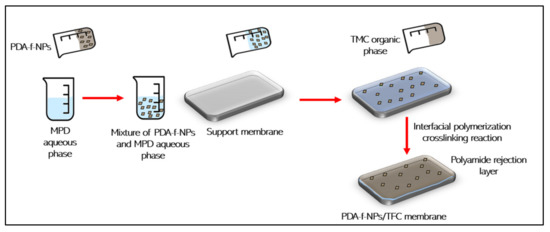 Progress for Co-Incorporation of Polydopamine and Nanoparticles for ...