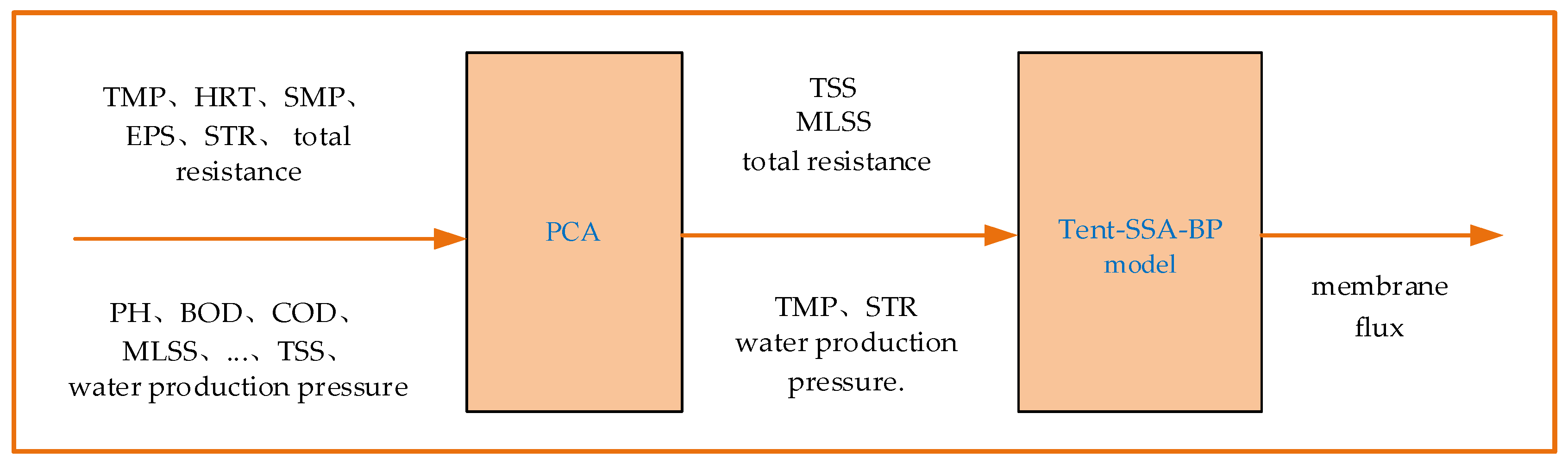 Membrane Fouling Prediction Based on Tent-SSA-BP