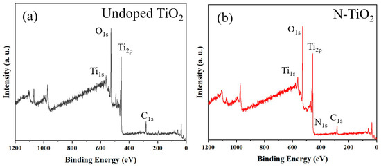Al2O3-Based Hollow Fiber Membranes Functionalized by Nitrogen-Doped ...