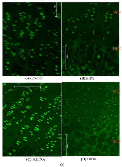 Membranes | An Open Access Journal from MDPI