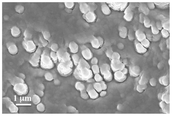 Membranes | An Open Access Journal from MDPI