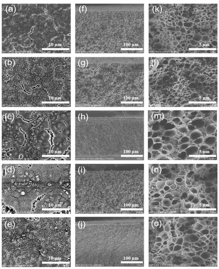 ECTFE Membrane Fabrication Using Green Binary Diluents TEGDA/TOTM and ...