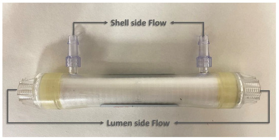 Chemical and Physical Ionic Liquids in CO2 Capture System Using ...