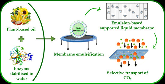 Membranes | Free Full-Text | Design of Enzyme Loaded W/O Emulsions by ...