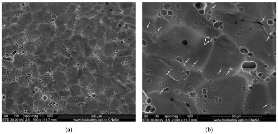 Membranes | Free Full-Text | Preparation and Characterization of Chitosan/TiO2 Composite ...