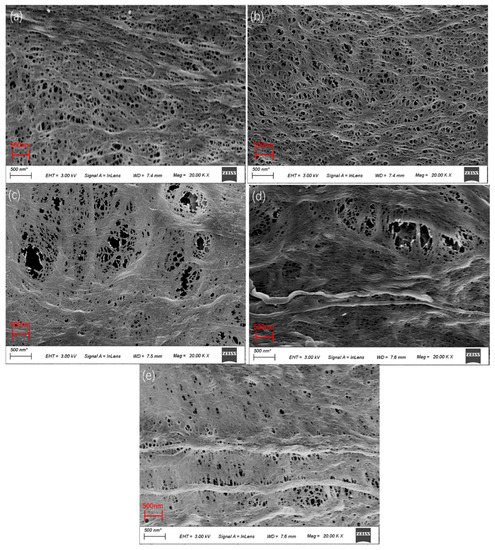 Micromechanism Study of Molecular Compatibility of PVDF/PEI Blend Membrane