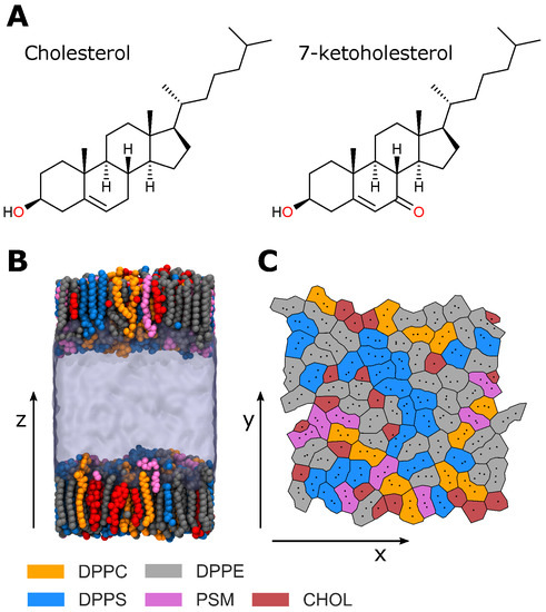 Membranes | Free Full-Text | The Effects of Cholesterol Oxidation on Erythrocyte Plasma ...