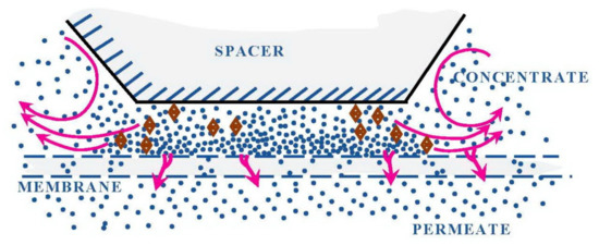 Investigation of Scaling and Inhibition Mechanisms in Reverse Osmosis ...