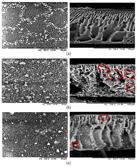 Xylem-Inspired Hydrous Manganese Dioxide/Aluminum Oxide ...