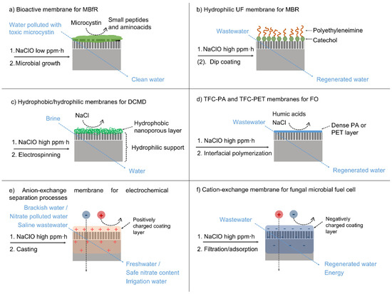 Thin Film Composite Polyamide Reverse Osmosis Membrane Technology ...