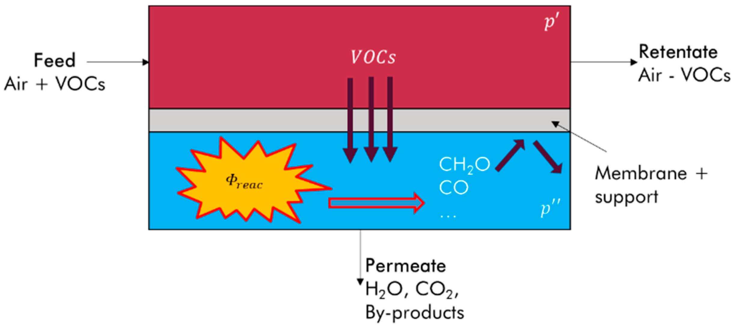 Experimental Proof of a Transformation Product Trap Effect with a ...