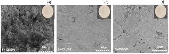 Bio-Based Ceramic Membranes for Bacteria Removal from Water