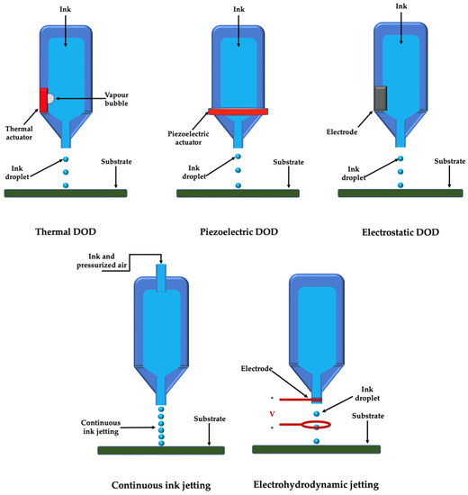 3D Printed and Bioprinted Membranes and Scaffolds for the Periodontal ...
