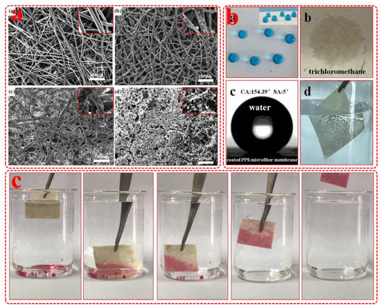 Polyphenylene Sulfide-Based Membranes: Recent Progress and Future ...