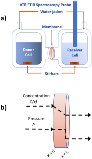 Membranes | Free Full-Text | Theoretical and Experimental ...