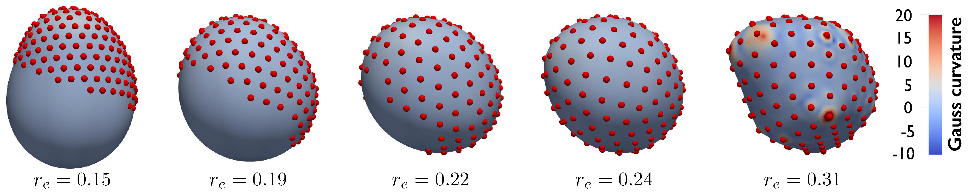 A Lagrangian Thin-Shell Finite Element Method for Interacting Particles on Fluid Membranes
