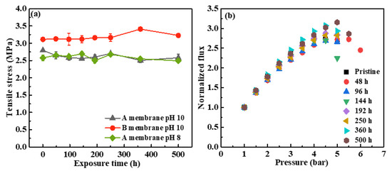 Unveiling the Impacts of Sodium Hypochlorite on the Characteristics and ...