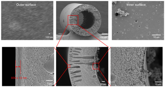Hollow Fiber Membrane for Organic Solvent Nanofiltration: A Mini Review