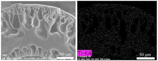 Hollow Fiber Membrane for Organic Solvent Nanofiltration: A Mini Review