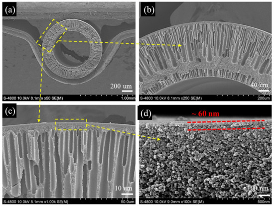 Hollow Fiber Membrane for Organic Solvent Nanofiltration: A Mini Review
