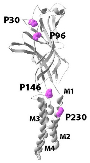 Membranes | Free Full-Text | Expression of Mutant Glycine Receptors in ...