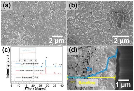 Facile Fabrication of α-Alumina Hollow Fiber-Supported ZIF-8 Membrane ...